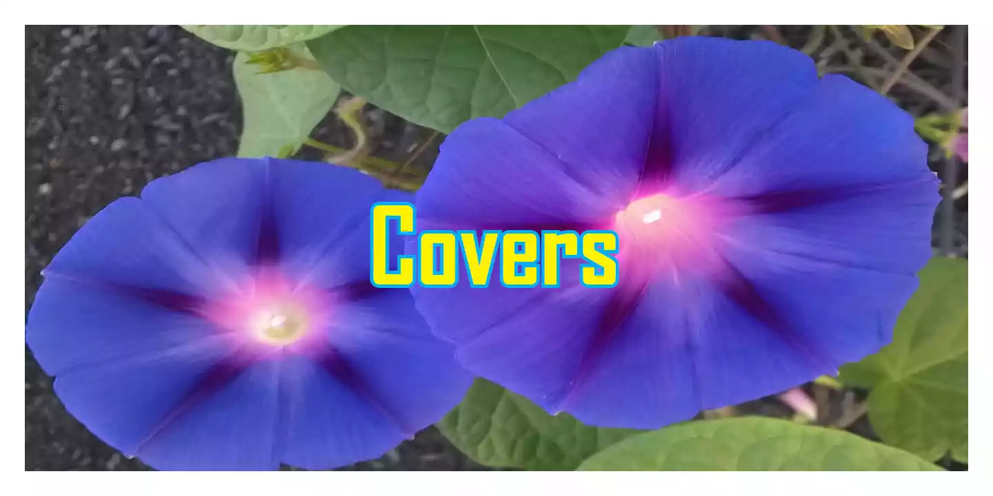 Color Theory Part 2 | More About Colors and Book Covers